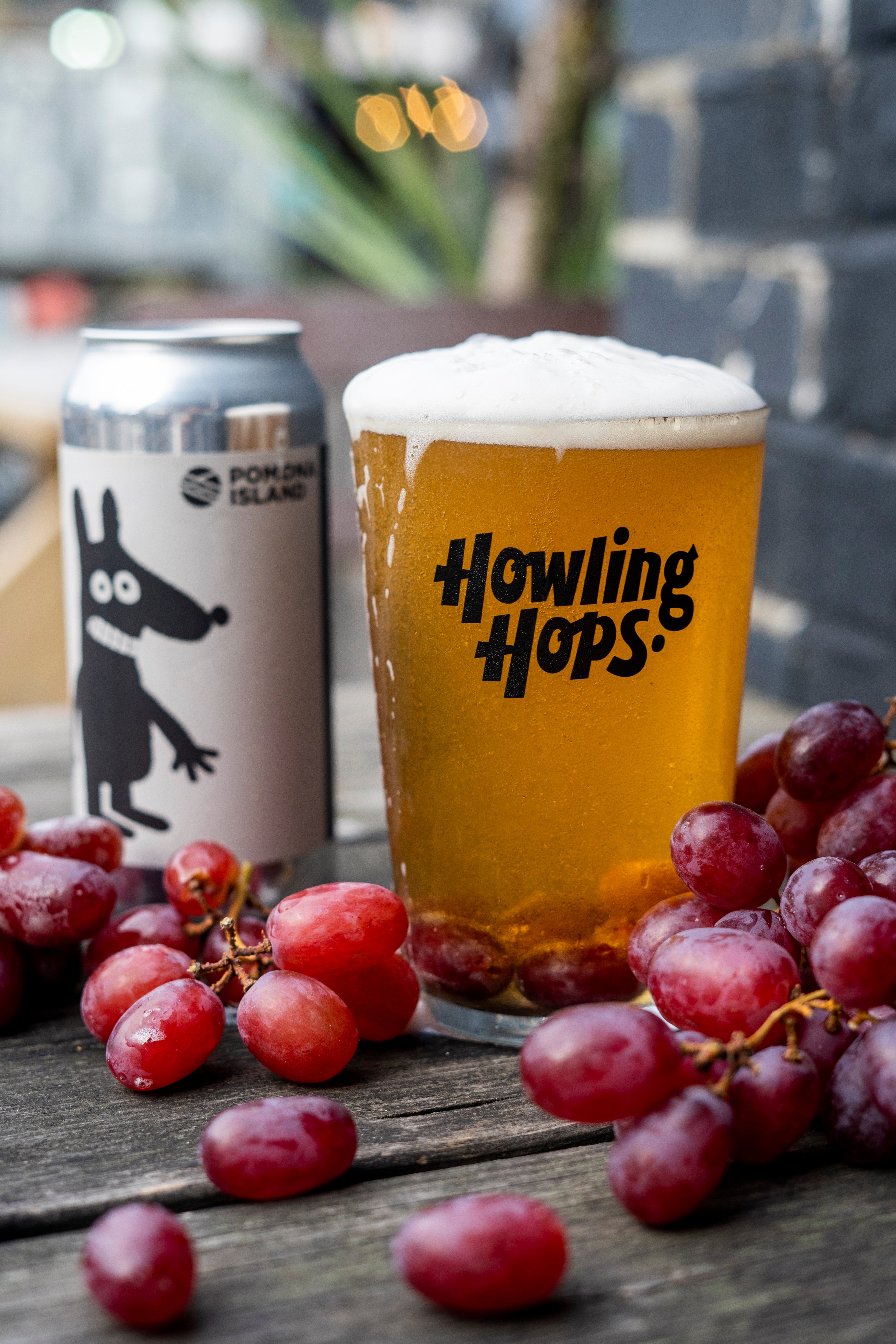 ALL CAUGHT UP – Howling Hops